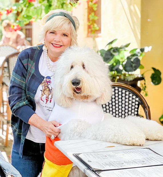 Available Parents Page - Teddy Bear Golden Doodles